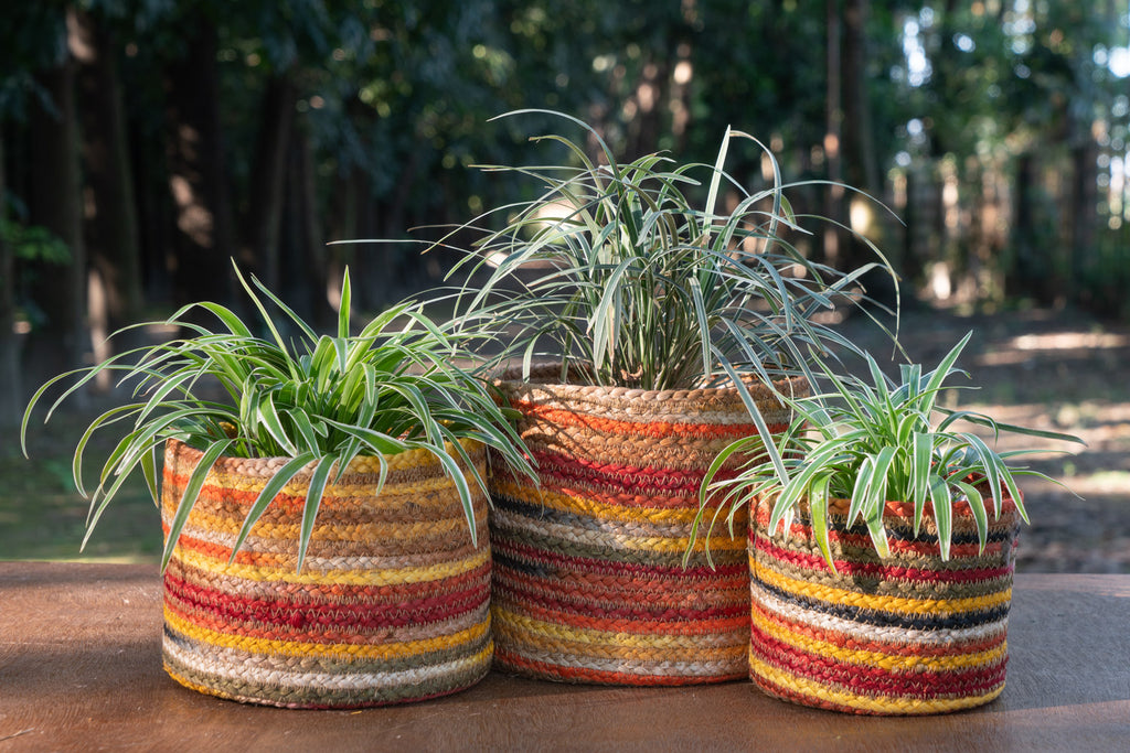Sunburst - Plant Basket Set – Beni Boonon
