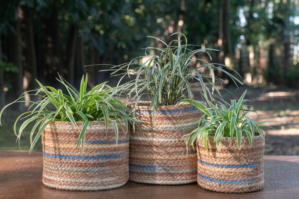 Sand Dunes - Plant Basket Set – Beni Boonon